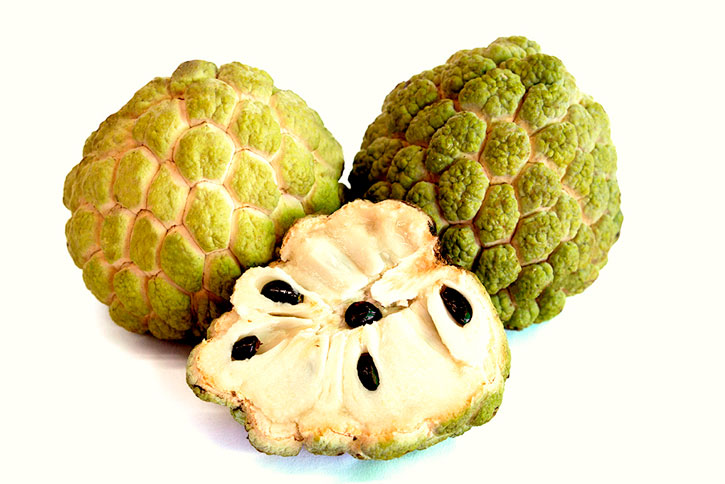 Os benefícios da pinha - a famosa fruta do conde - Dr.Ervas