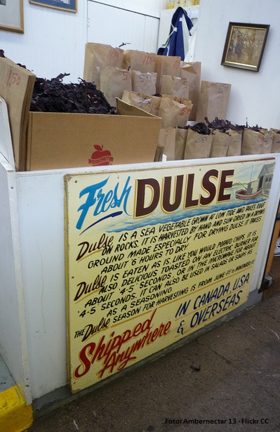 Dulse: “bacon saudável”, alga é nutritiva e aliada da beleza; entenda ...